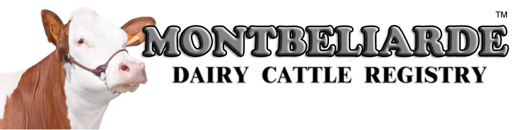 Montbeliarde – Dairy Cattle Registry